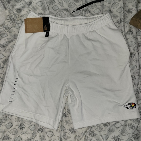 The North Face | Shorts | North Face Pride Shorts | Poshmark
